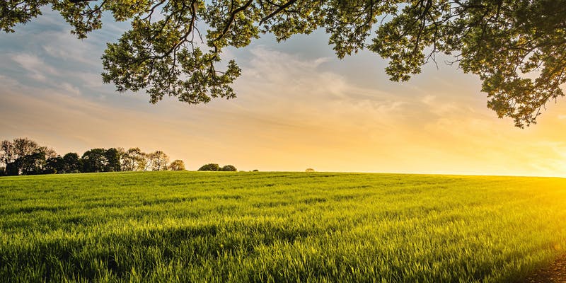 Towards Healthy and Productive Landscapes - Inspiring Tasmania