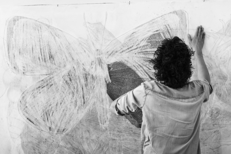 Extinction Studies - Exhibit - Inspiring Tasmania