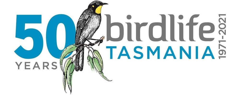 Birdlife Tasmania Outing to Native Point Reserve and Windermere ...