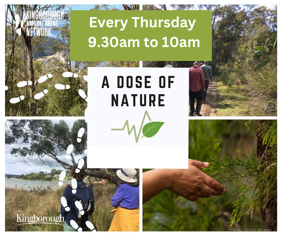 A Dose of Nature – Weekly Walks in Kingborough Reserves - Inspiring ...