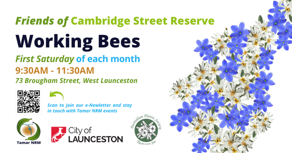 Cambridge Street Reserve Working Bee - Inspiring Tasmania