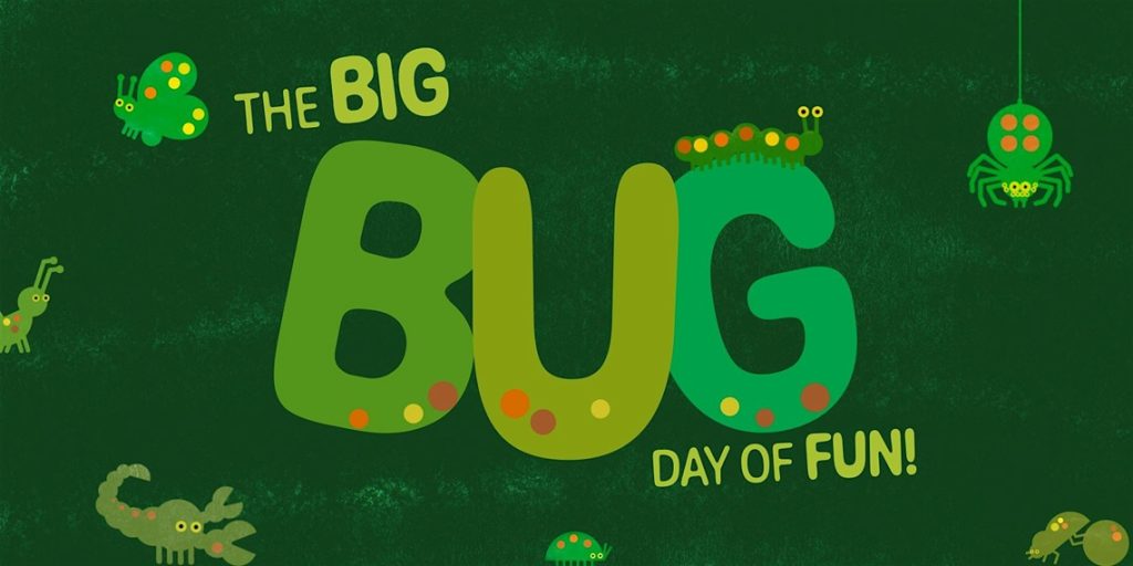 The Big Bug Day of Fun: QVMAG - Inspiring Tasmania